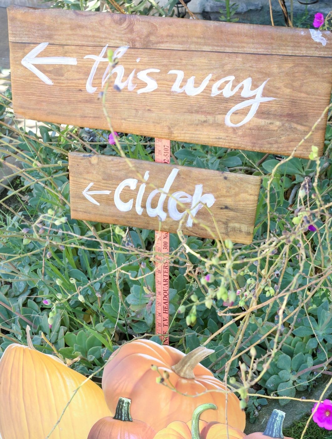 Pumpkin Patch Yard Display | Fun365