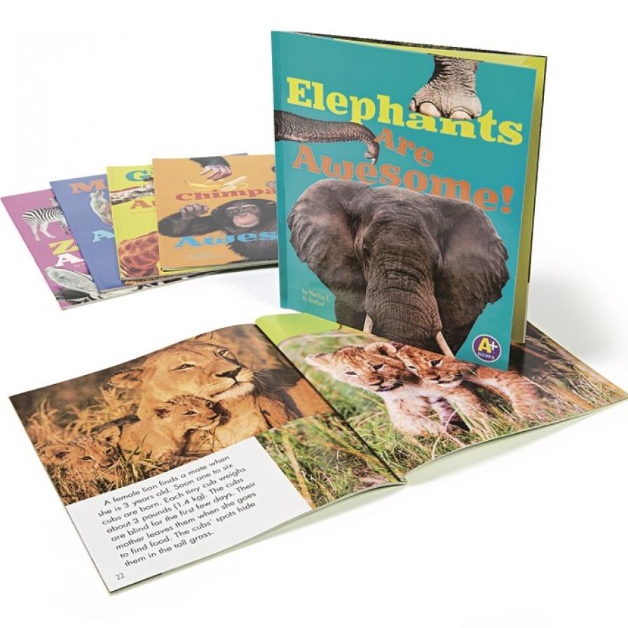 Awesome African Animal Books | Fun365