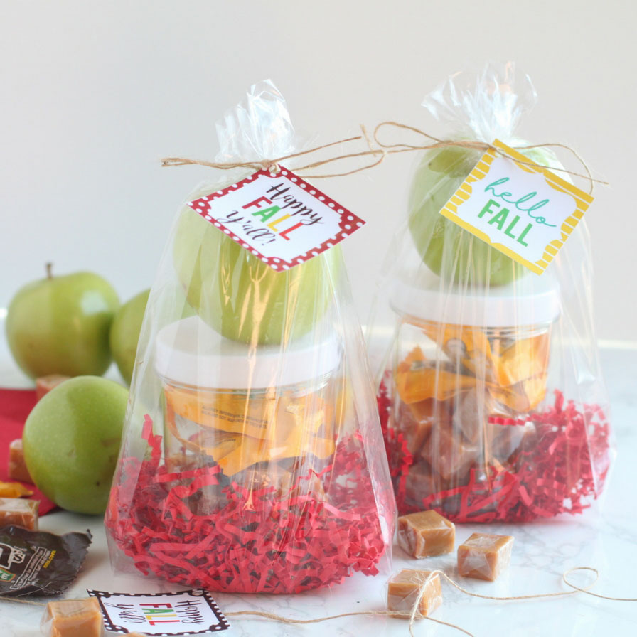 Fall Caramel Apple Kit | Fun365