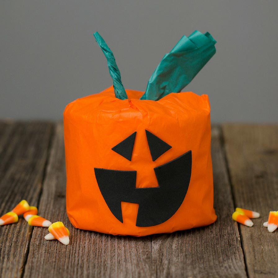 Bathroom Tissue Pumpkin | Fun365