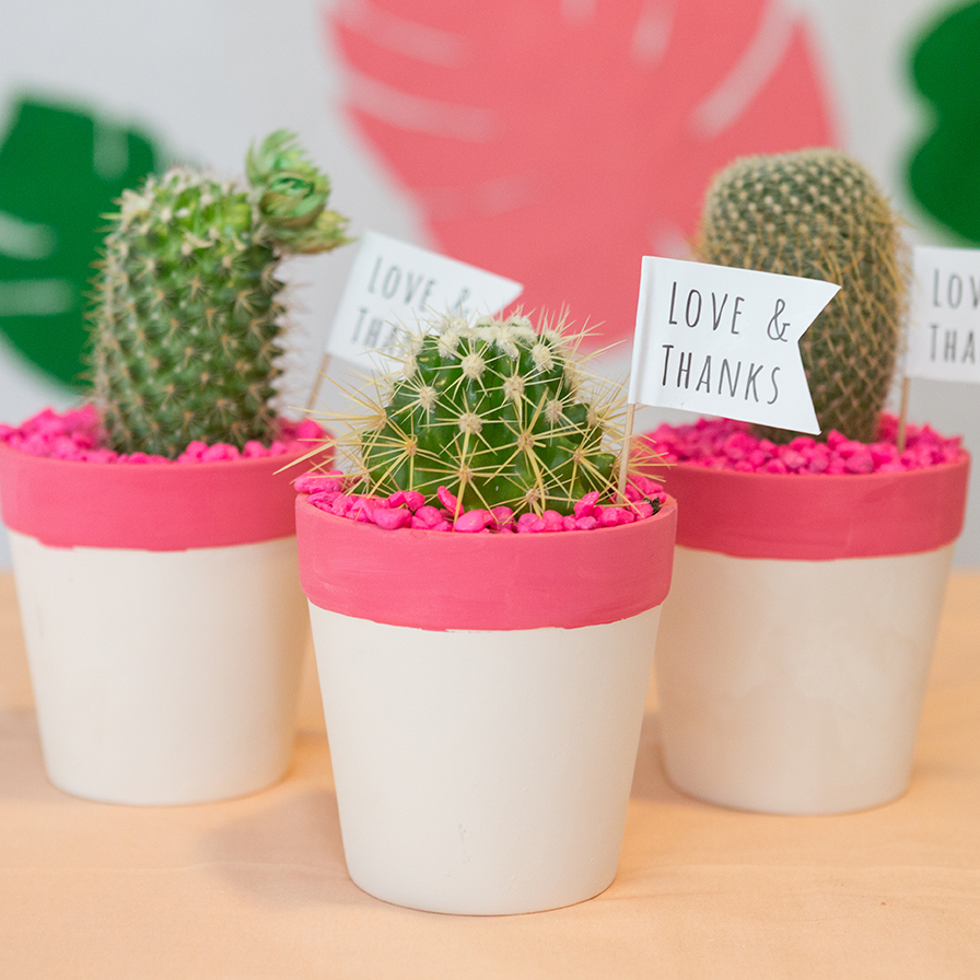 Mini DIY Cactus Favors | Fun365