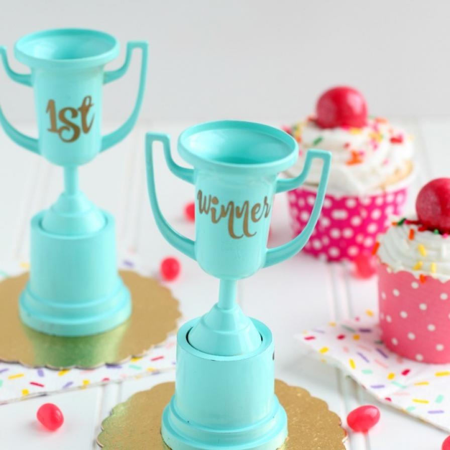 DIY Winner Trophy | Fun365