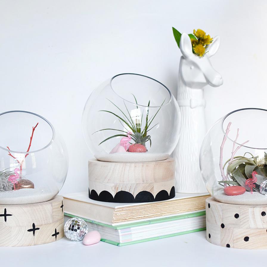 DIY Modern Terrariums | Fun365