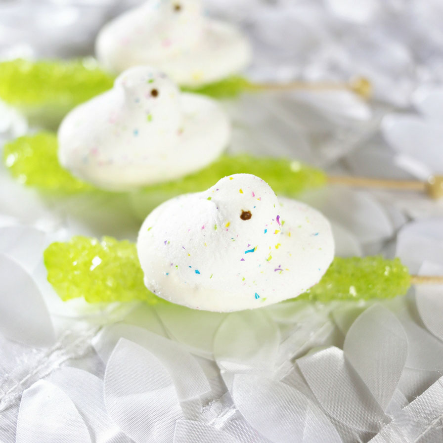 Rock Candy Bird Branches | Fun365