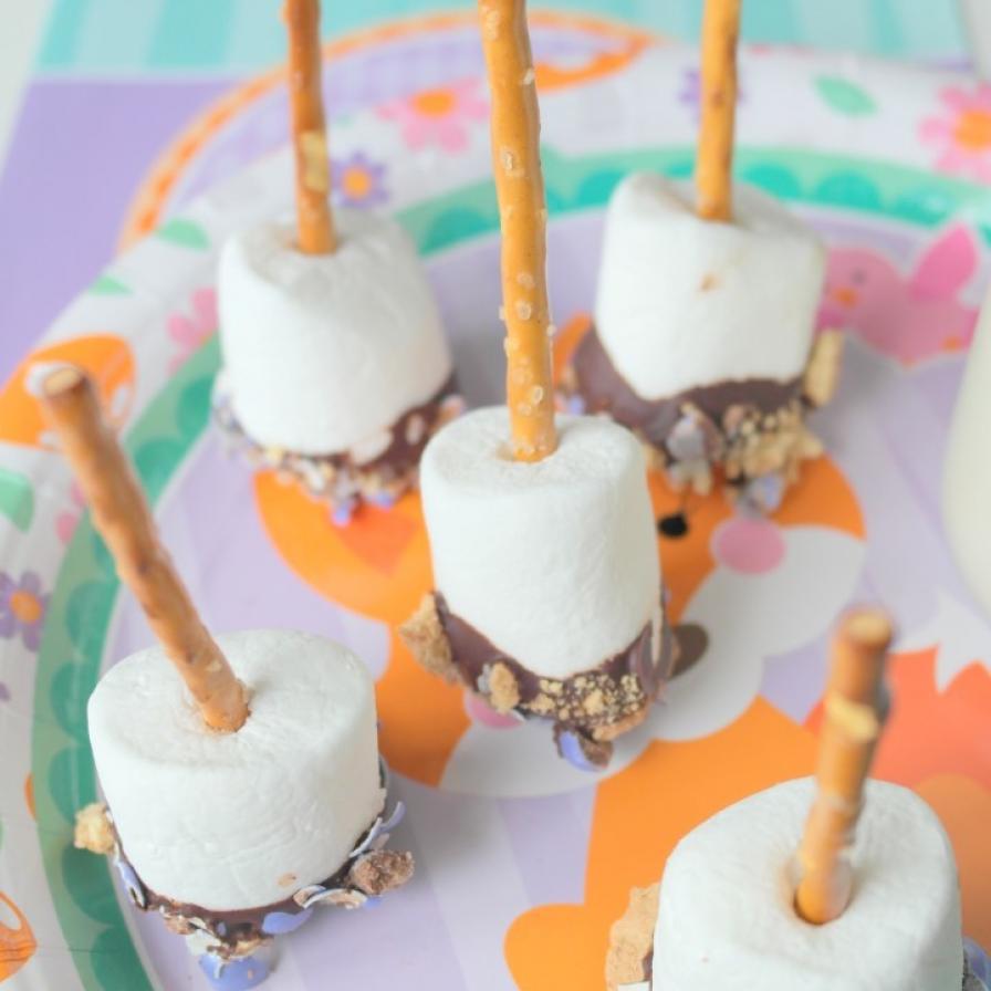 S'mores on a Stick Recipe | Fun365