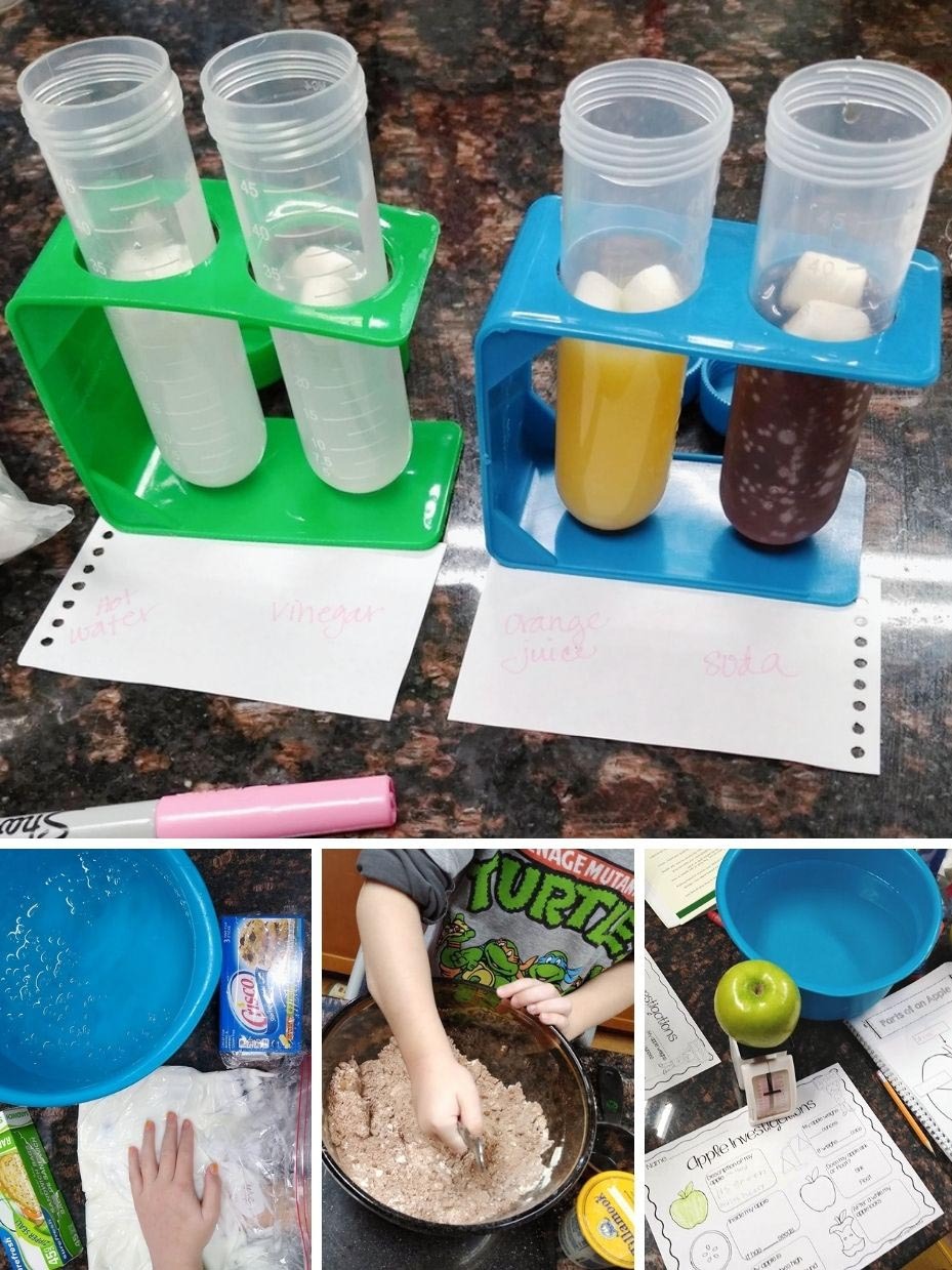 How to Teach Homeschool Science | Fun365