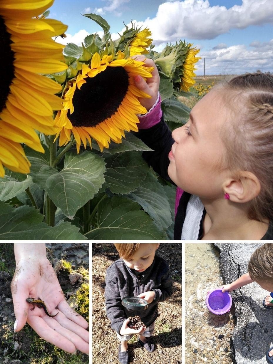 How to Teach Homeschool Science | Fun365