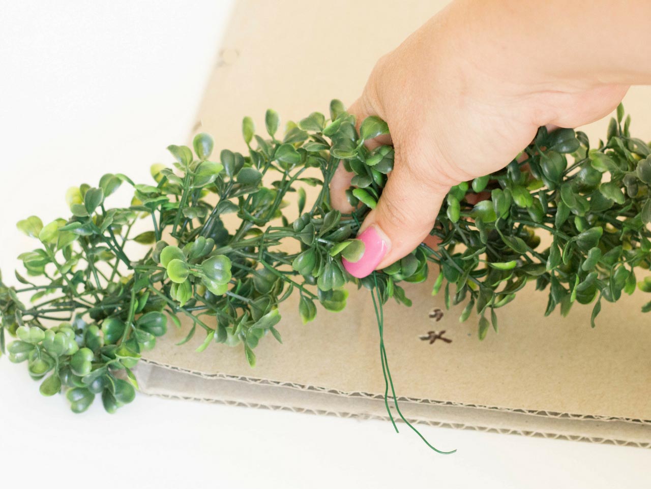 Vibrant Boxwood Greenery Backdrop | Fun365