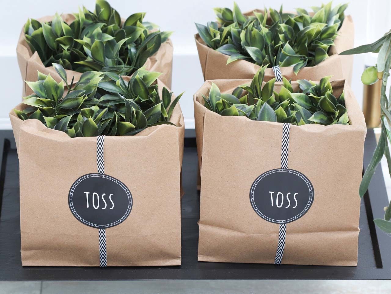 DIY Biodegradable Confetti Toss | Fun365