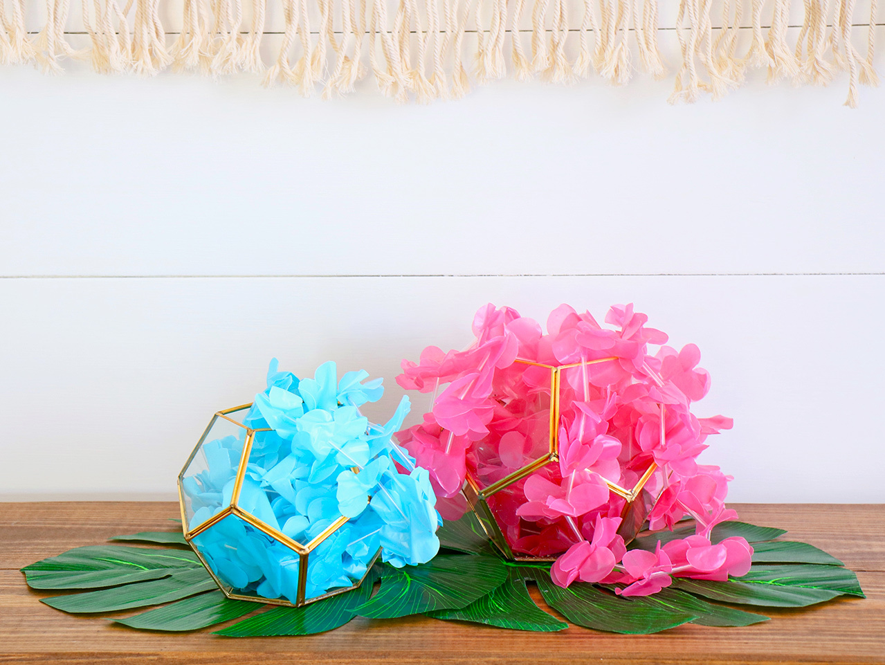 Tropical Gender Reveal Activity | Fun365