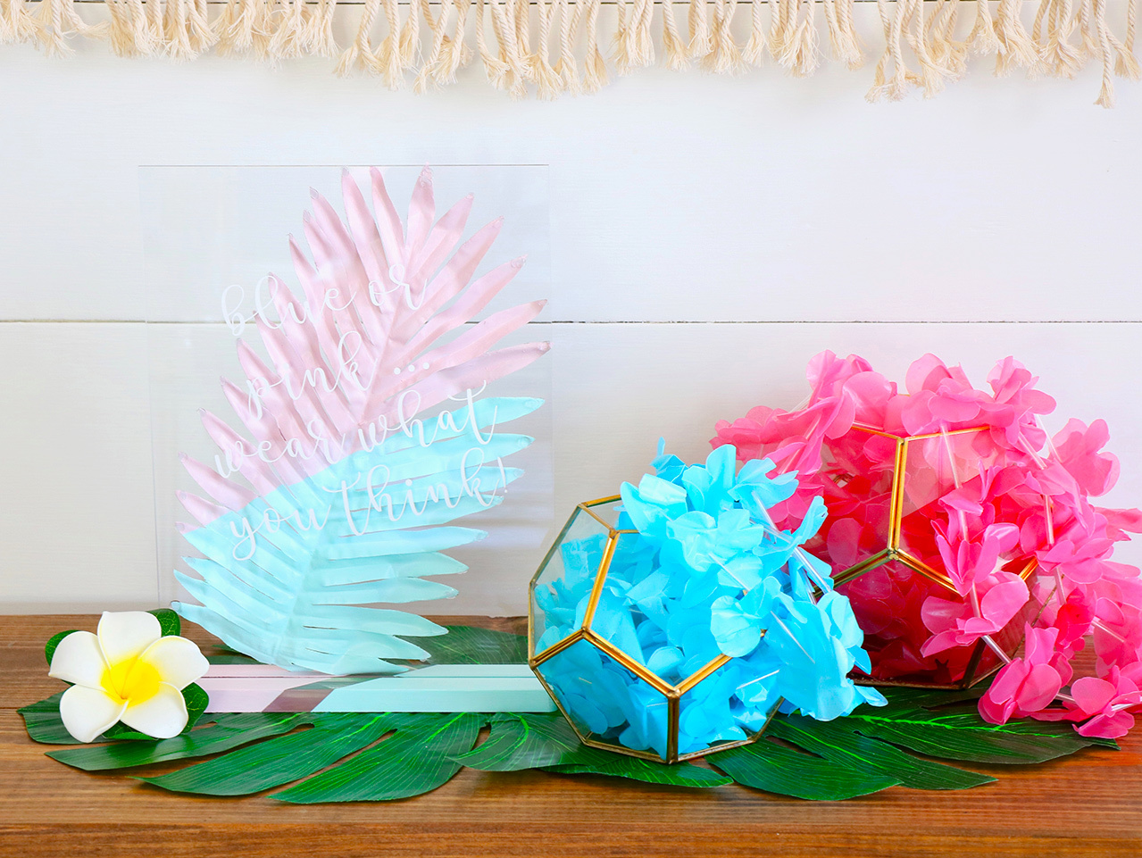 Tropical Gender Reveal Activity | Fun365