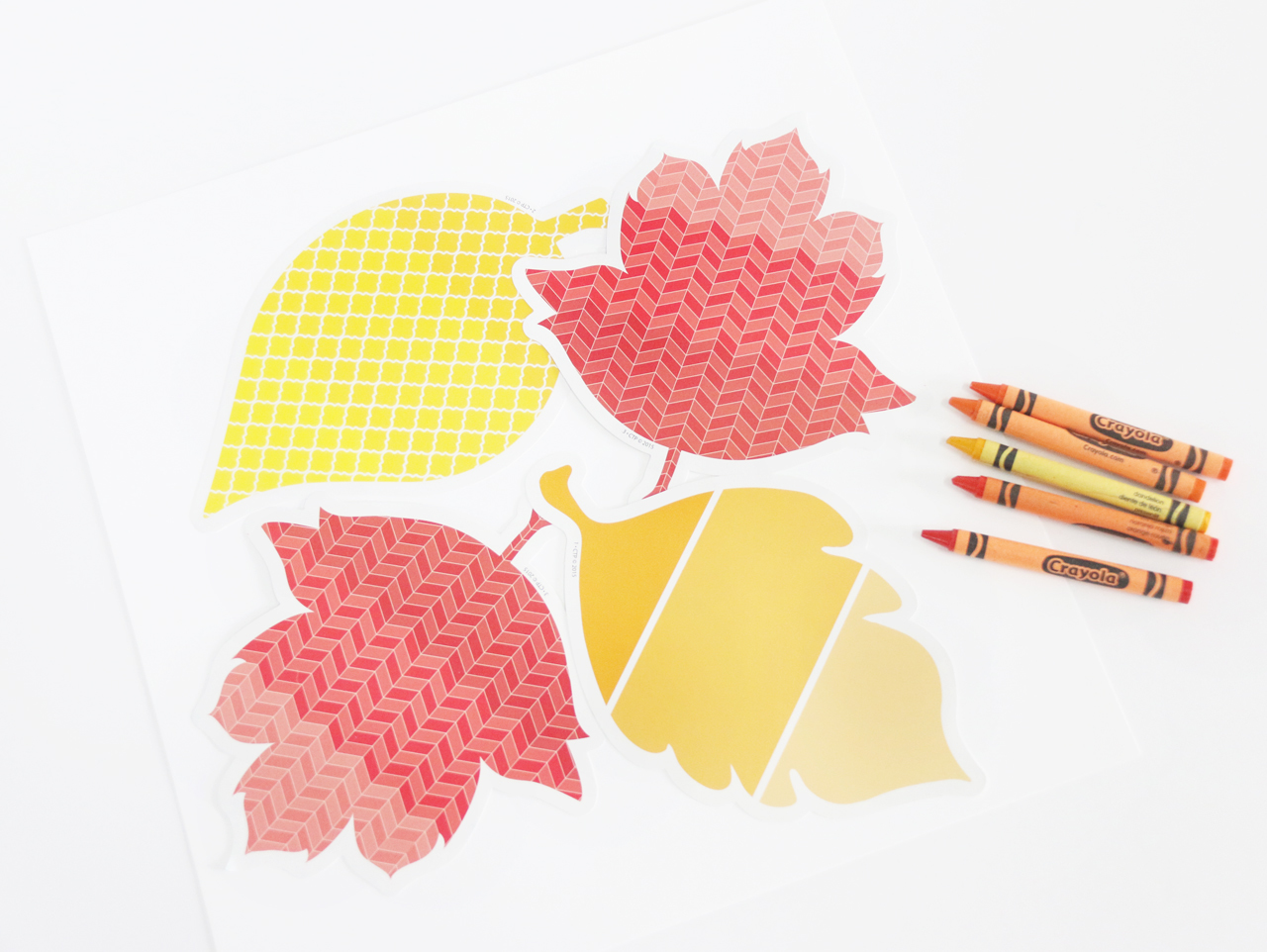 Crayon Resist Leaf Art Paintings | Fun365