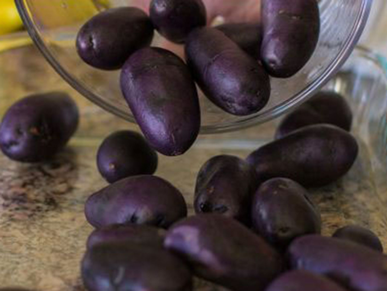 Roasted Purple Fingerling Potatoes With Lemon Garlic Aioli | Fun365