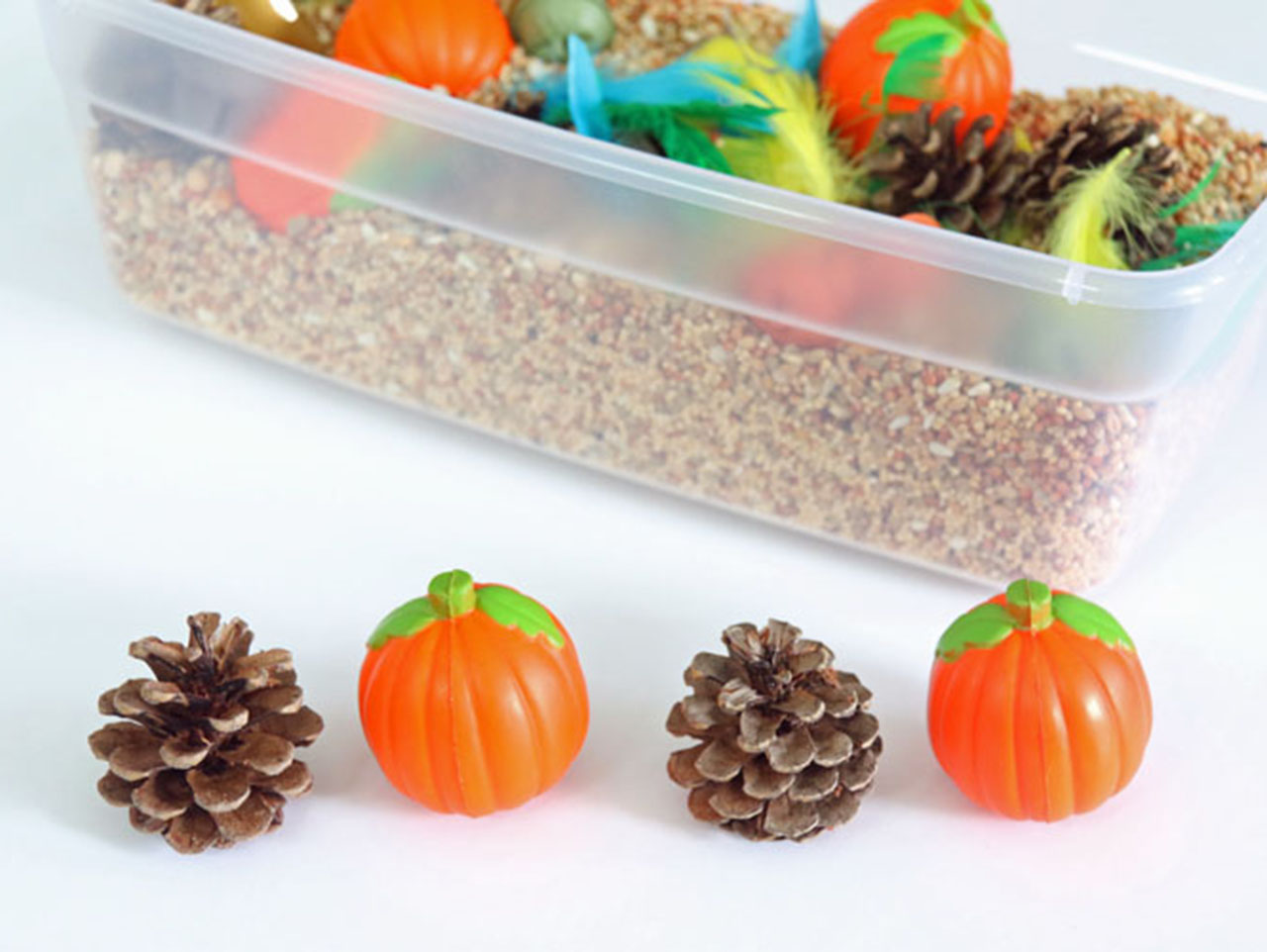 Thanksgiving and Fall Sensory Bin | Fun365