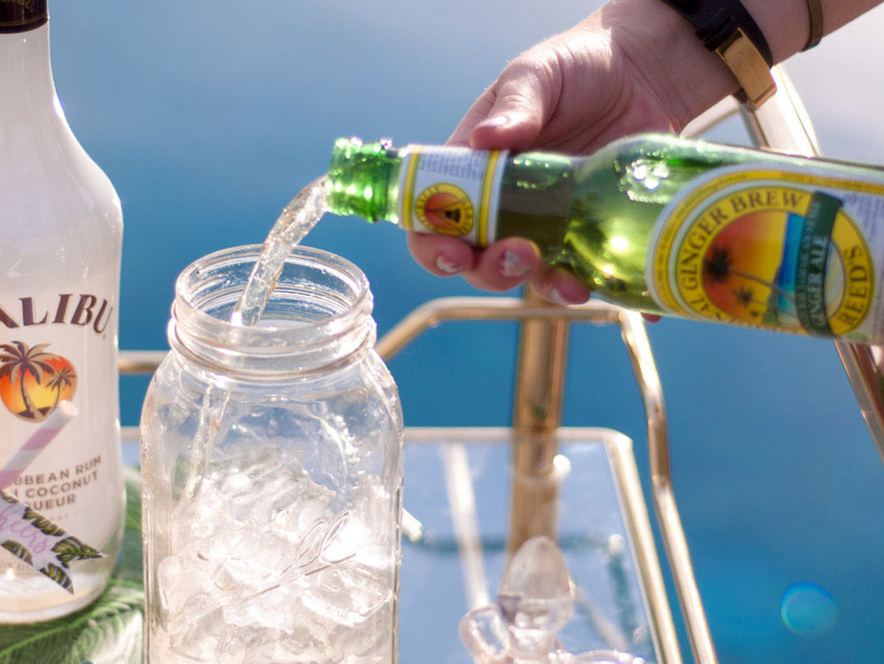 Tropical Sunshine Drink Recipe Fun365 Tropical Sunshine Drink Recipe Fun365